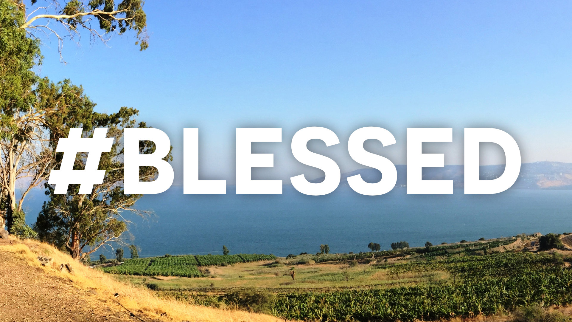 Church Family News | Christ Church Crouch End